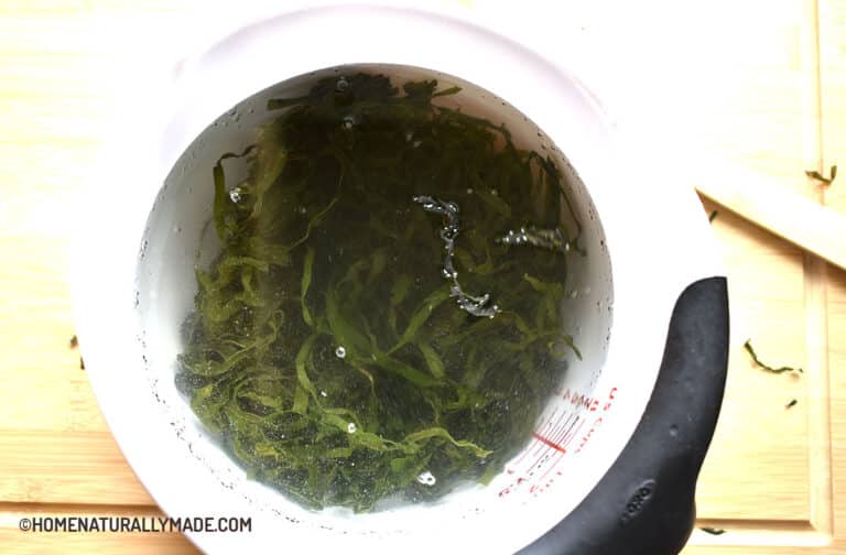 Kelp Salad Chinese Style {Easy Tasty Healthy} - HomeNaturallyMade