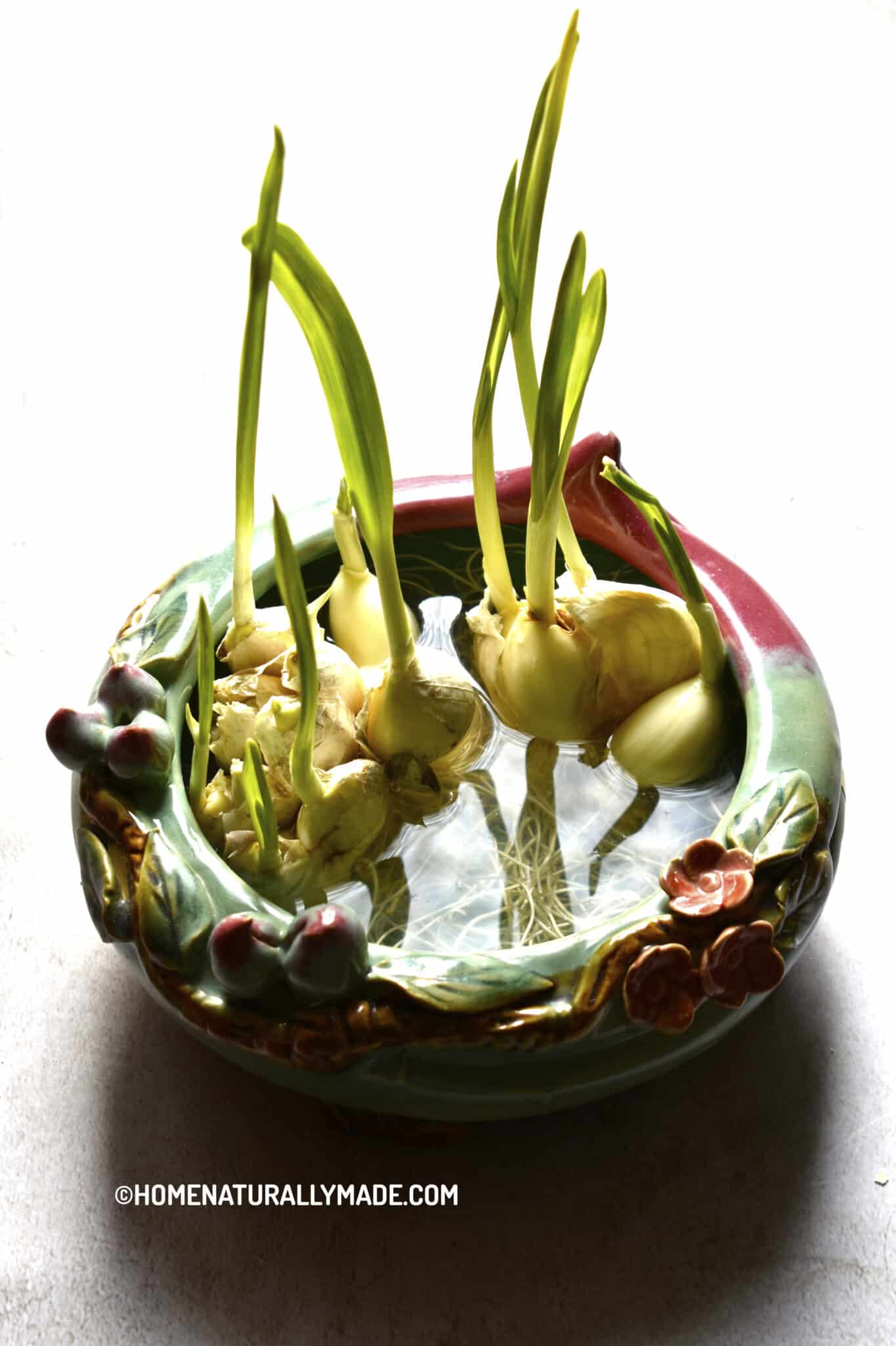 Yang Chun Noodles {阳春面 Easy Authentic Way} - HomeNaturallyMade