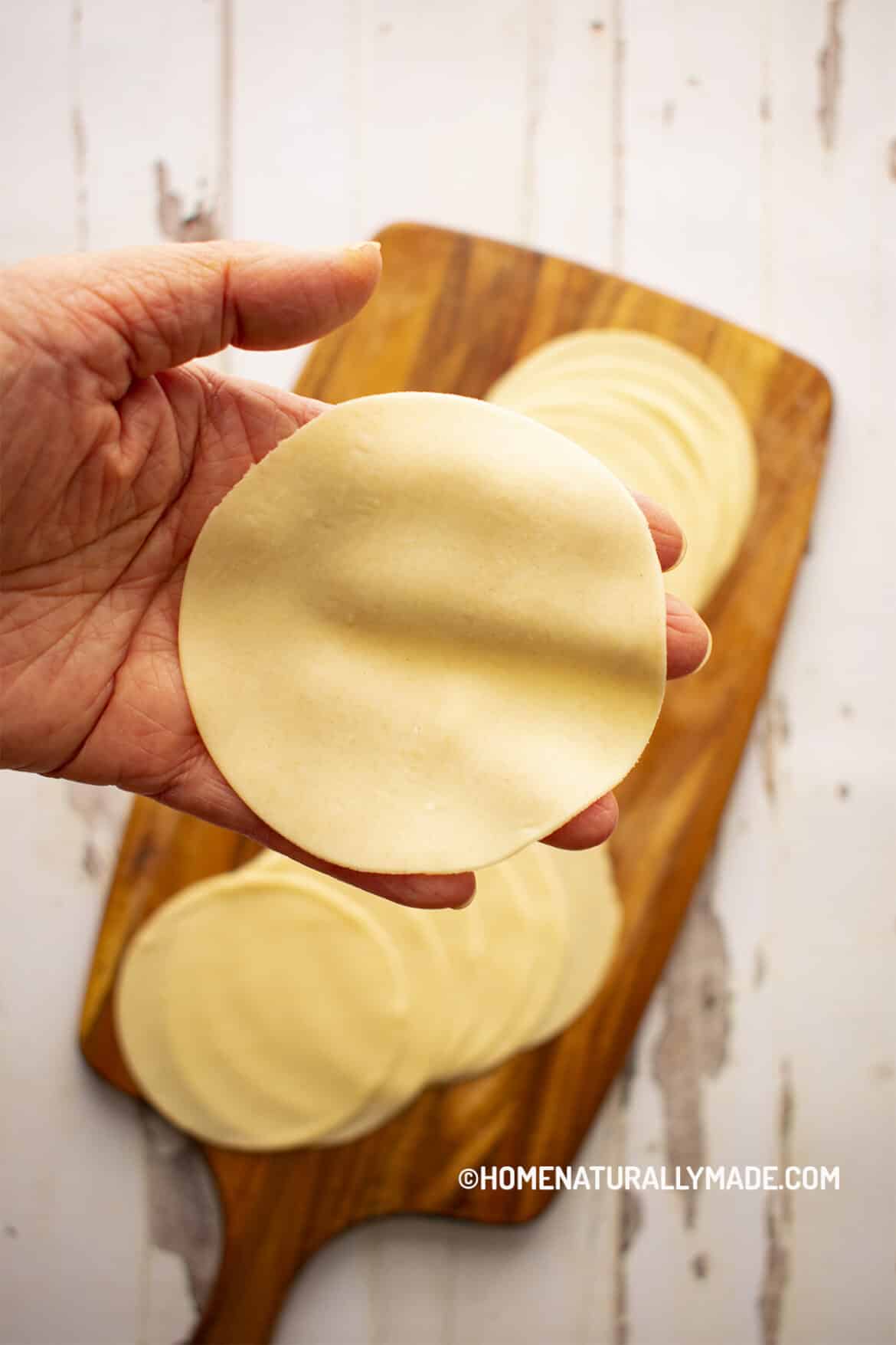 Shanghai Soup Dumplings {Xiao Long Bao 小笼包} - HomeNaturallyMade