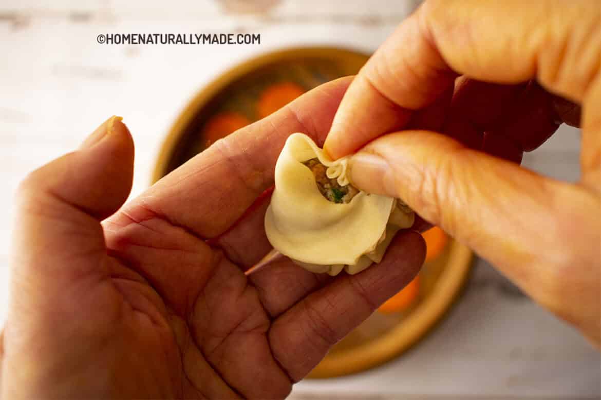 How to Wrap Shanghai Soup Dumplings? - HomeNaturallyMade
