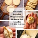 How to Wrap Shanghai Soup Dumplings? - HomeNaturallyMade