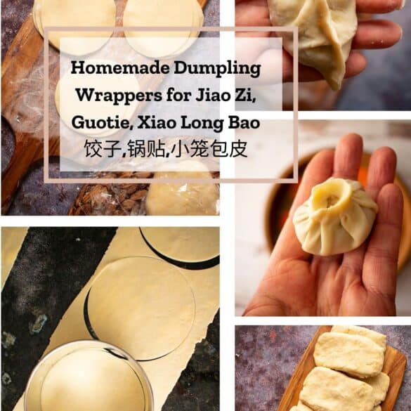 Homemade Dumpling Wrappers {Quick Easy Way} - HomeNaturallyMade