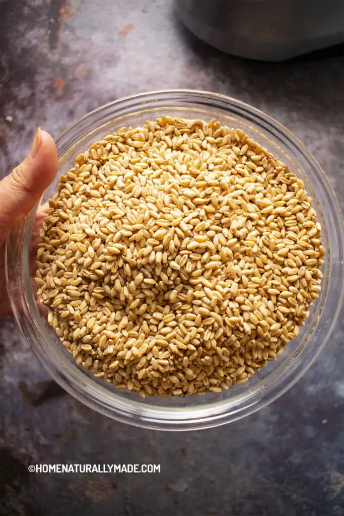 Roasted Grains via Stovetop Using Wok {Easy Way} - HomeNaturallyMade