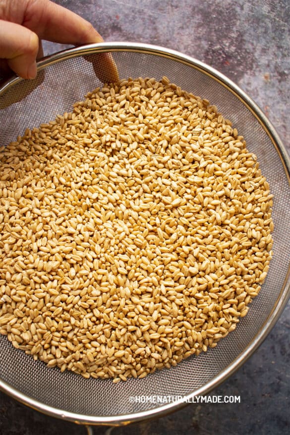 Roasted Grains via Stovetop Using Wok {Easy Way} - HomeNaturallyMade