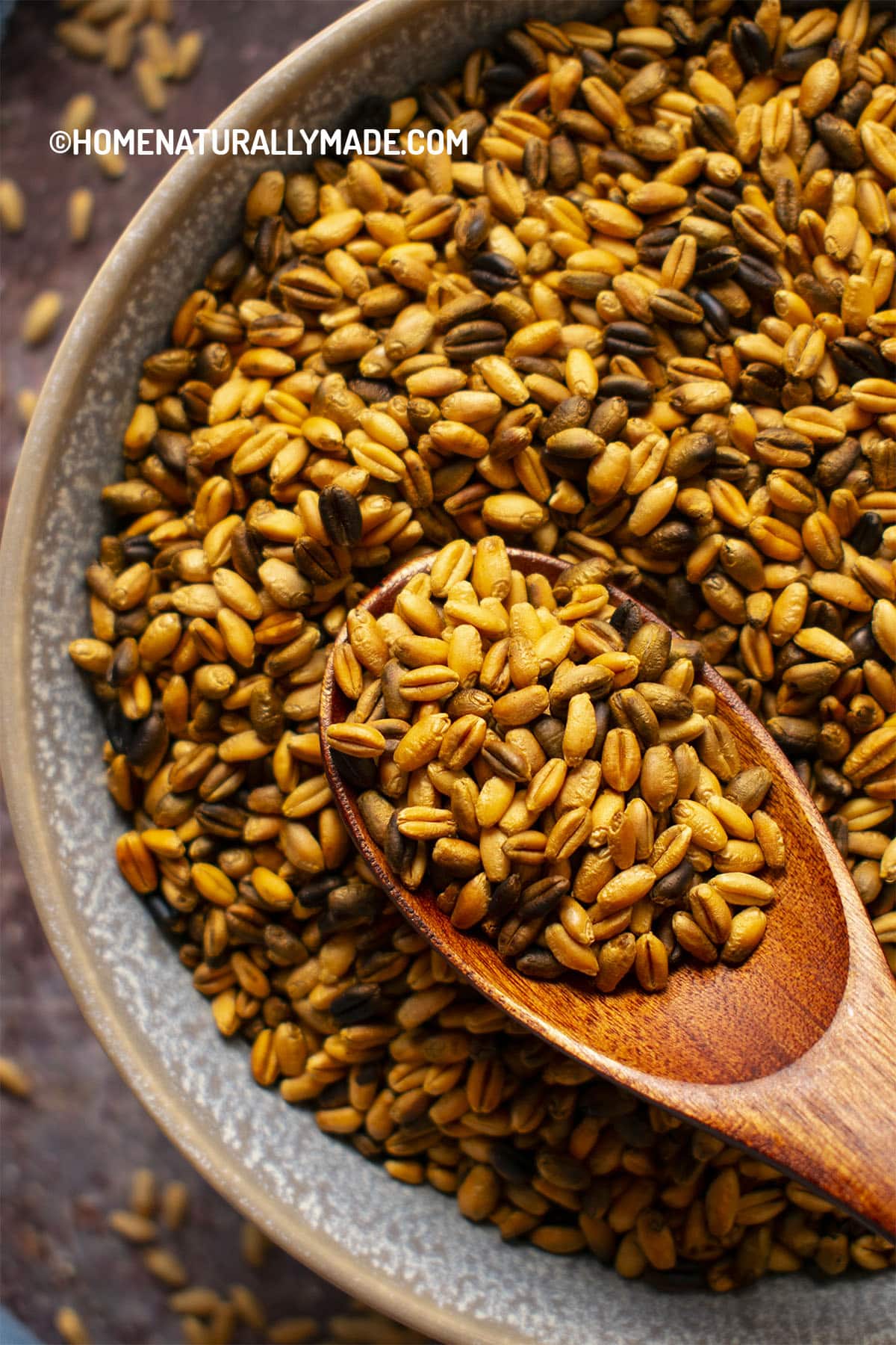 Korean Barley Tea {Homemade Da Mai Cha 大麦茶} - HomeNaturallyMade