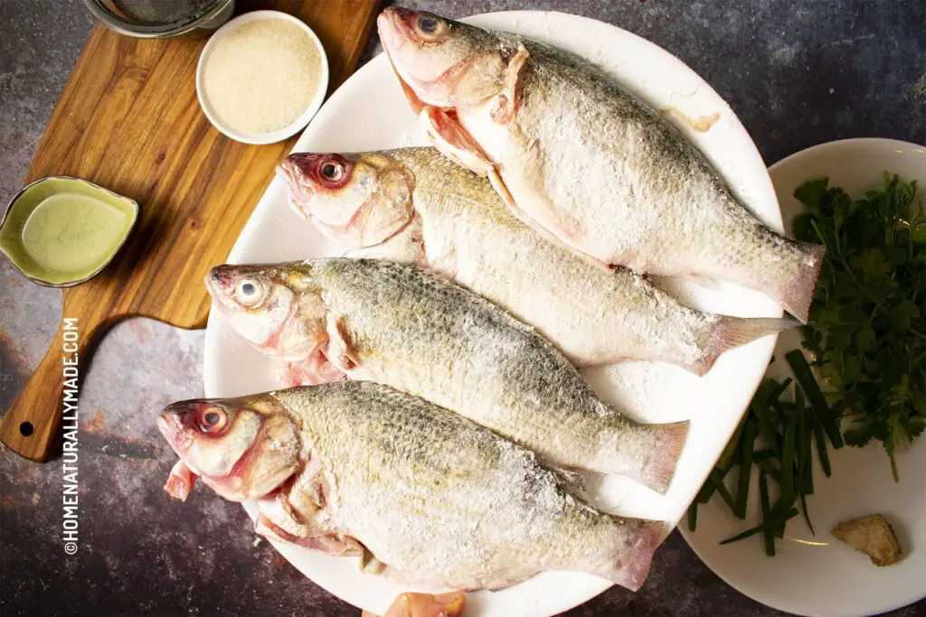 Sweet and Sour Fish {Simplified Huai Yang Style} - HomeNaturallyMade