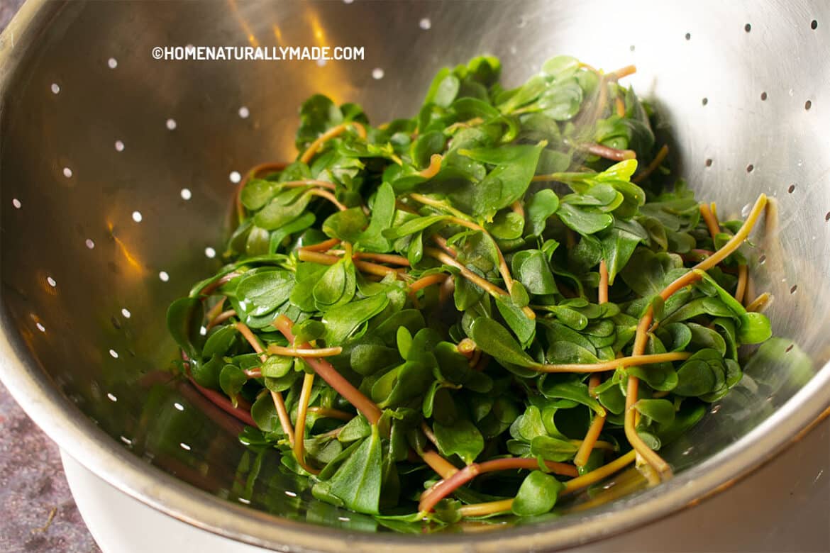 Purslane Salad {Ma Chi Xian 马齿苋} - HomeNaturallyMade