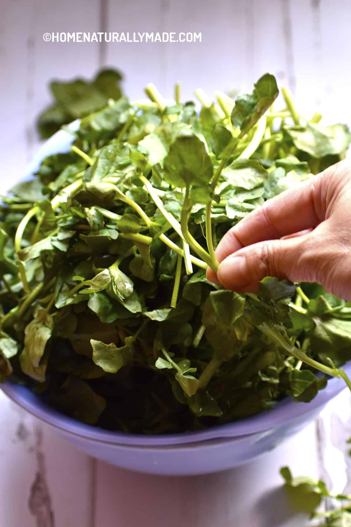 Stir Fried Watercress {Quick Easy Xi Yang Cai} - HomeNaturallyMade