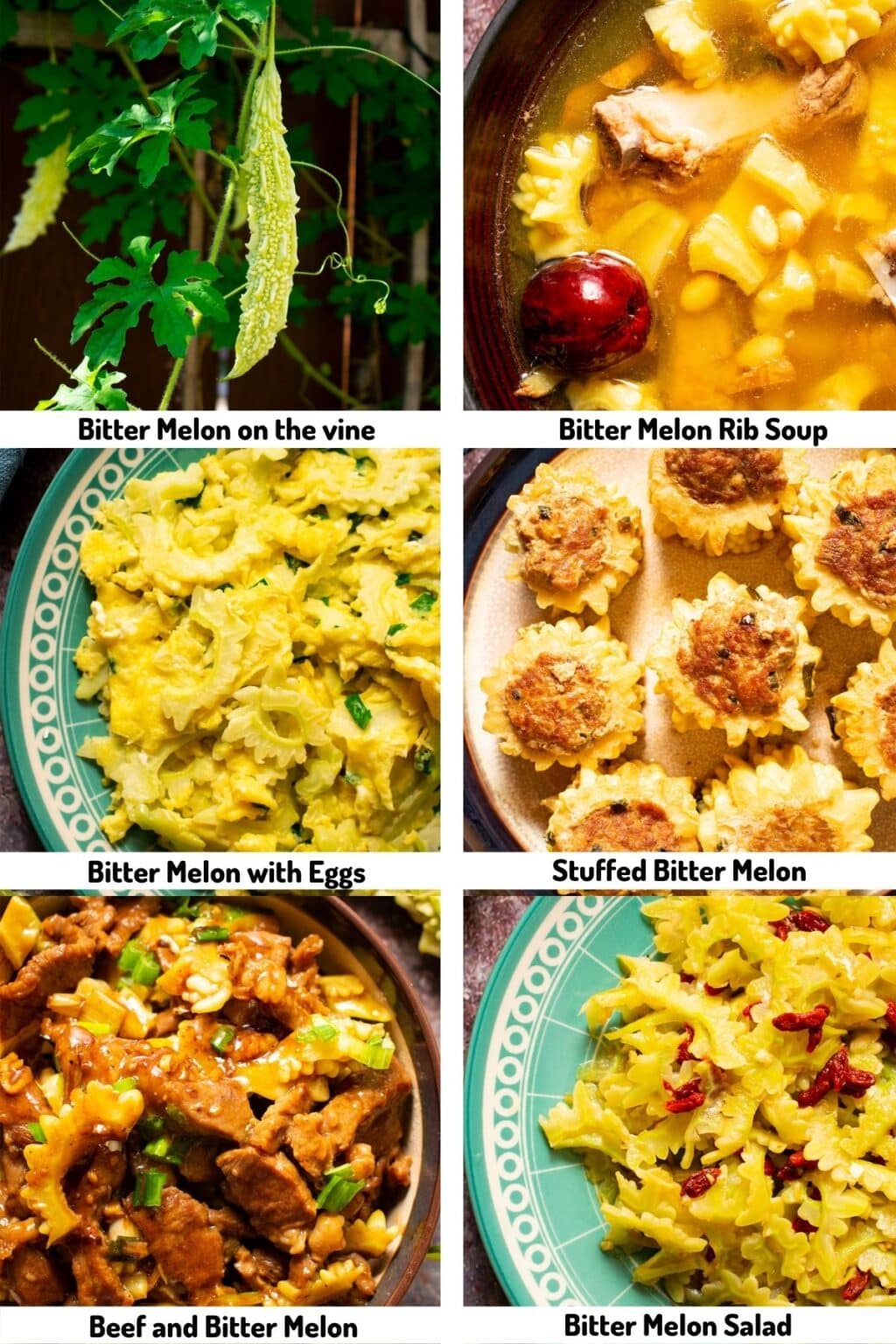 Bitter Melon Salad {Chinese Liang Ban Ku Gua} - HomeNaturallyMade