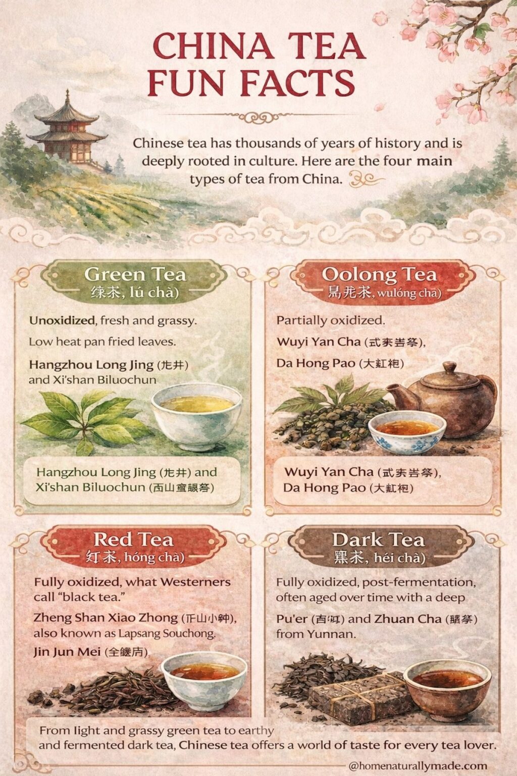 Eight Treasures Tea Chinese Ba Bao Cha - HomeNaturallyMade