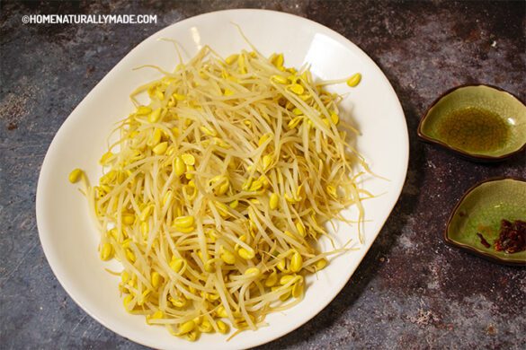 Soybean Sprouts Salad {Asian Fusion} - HomeNaturallyMade