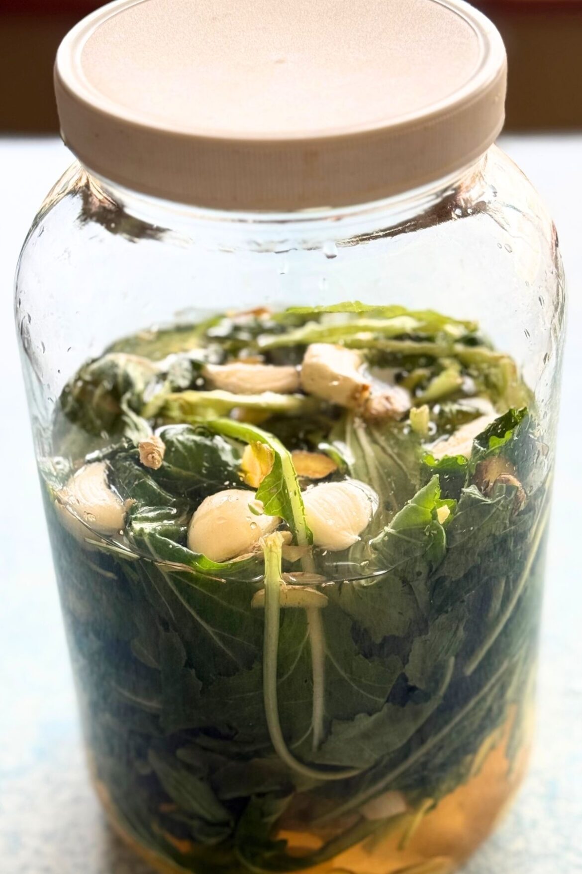 Sichuan Pao Cai {Szechuan Style Fermented Vegetables} - HomeNaturallyMade